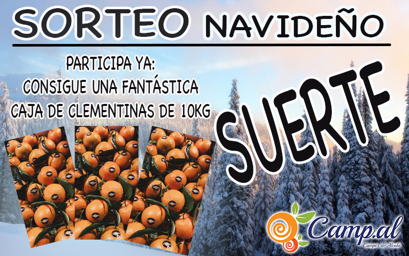 BASES Y CONDICIONES SORTEO NAVIDEÑO – CAMPOS DE ALCALÁ SL